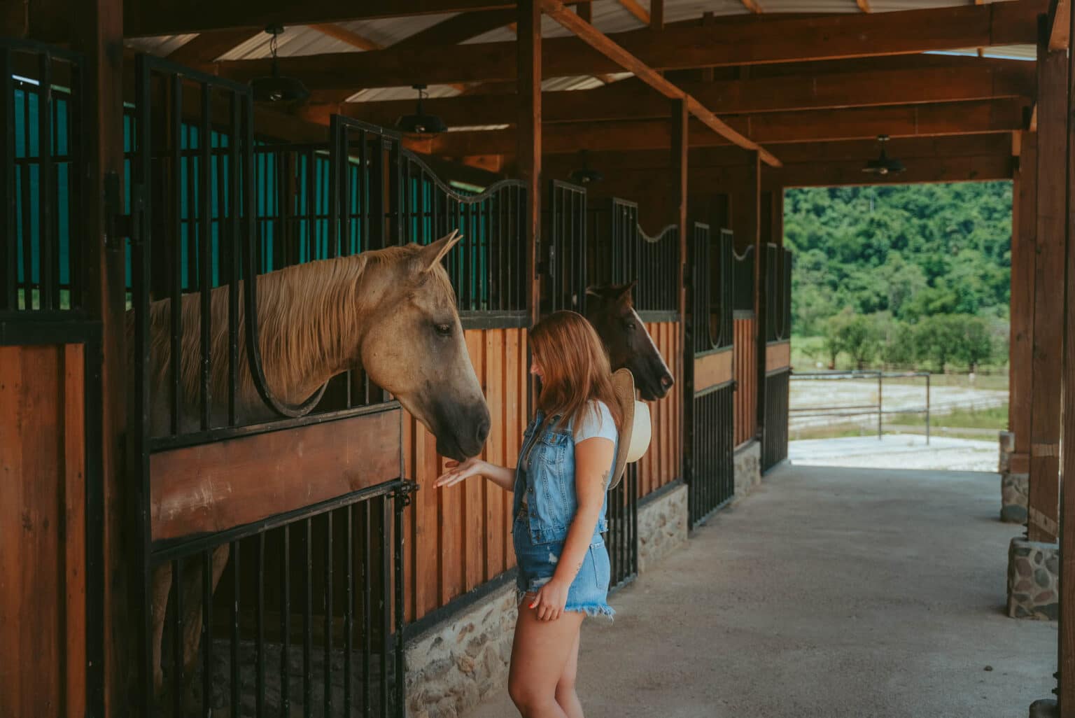 The Stables – The Rainforest Lodge at Sleeping Giant